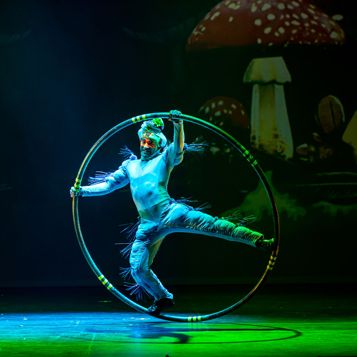 Espectáculos – Circo Dragón