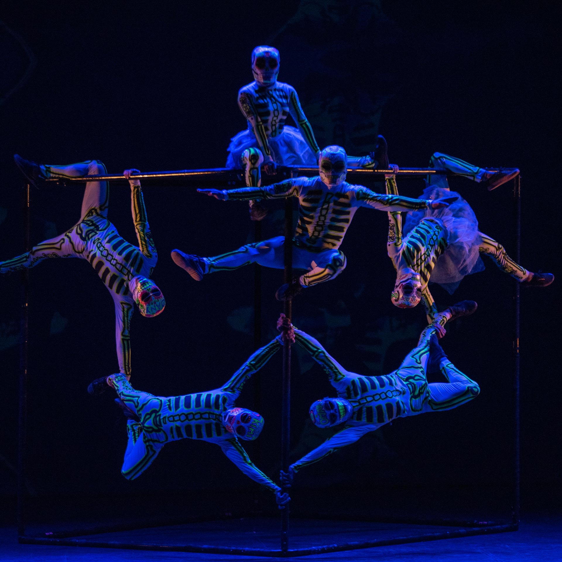 Espectáculos – Circo Dragón